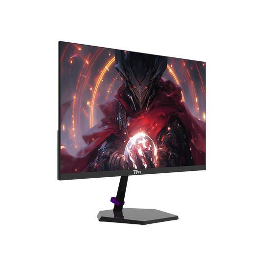 TM ECO SERIES 24” FHD, 144hz, 1MS, HDMI 2.1 & DP 1.4 Gaming Monitor ...